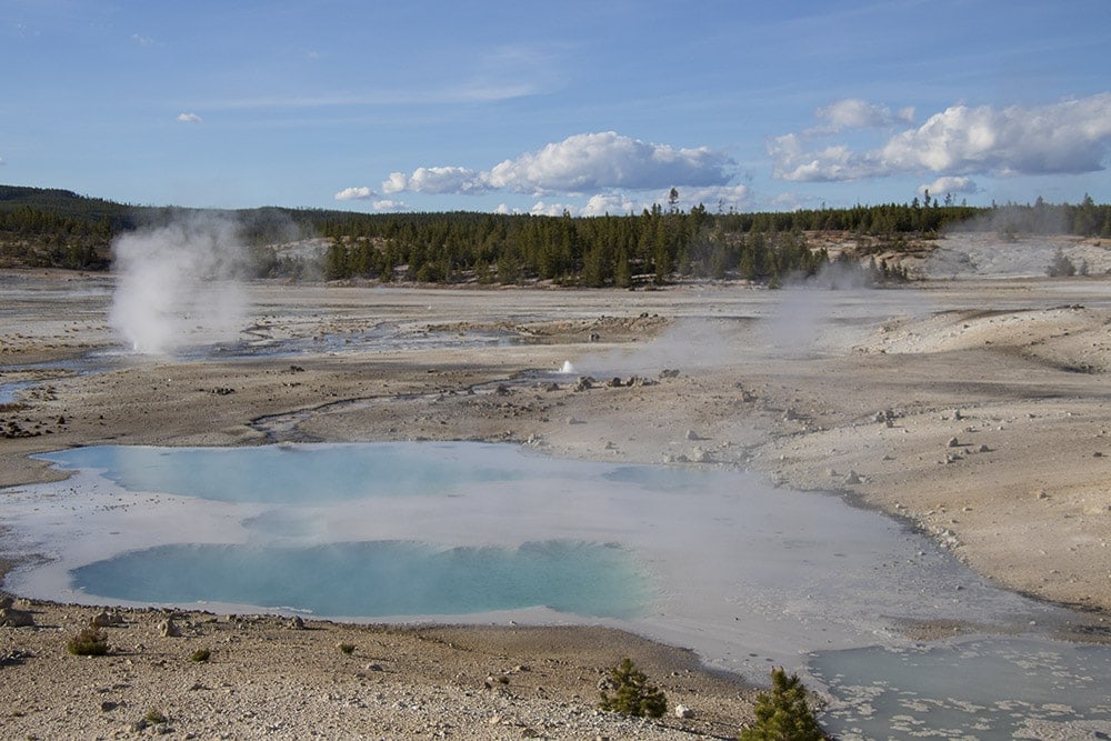 20 Easy Hikes In Yellowstone National Park You Don’t Want to Miss ...