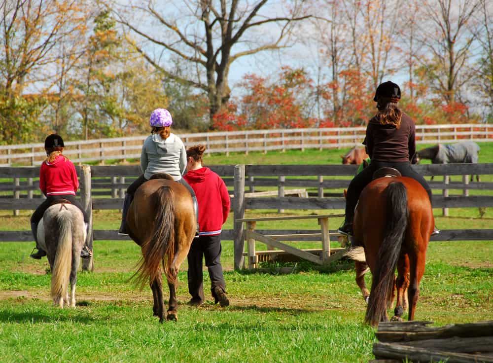Horse Riding Summer Camps - How To Choose