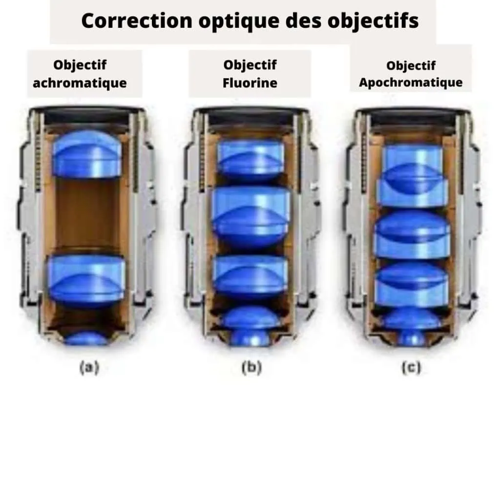 Objectif de microscope - Meilleurs Microscopes