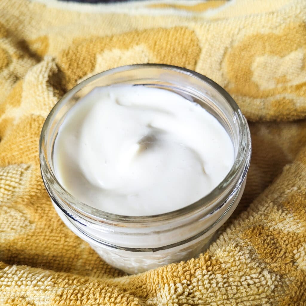 The Best Homemade Mayonnaise Recipe (So Easy & Delicious!) - Cakes to Kale