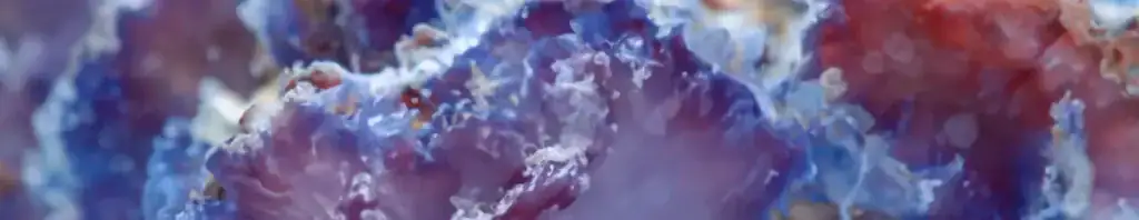 Ambroxan: The Molecular Marvel Transforming Modern Perfumery