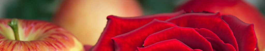 Pomarose in Perfumery: The Fruitful Fusion of Apple and Rose