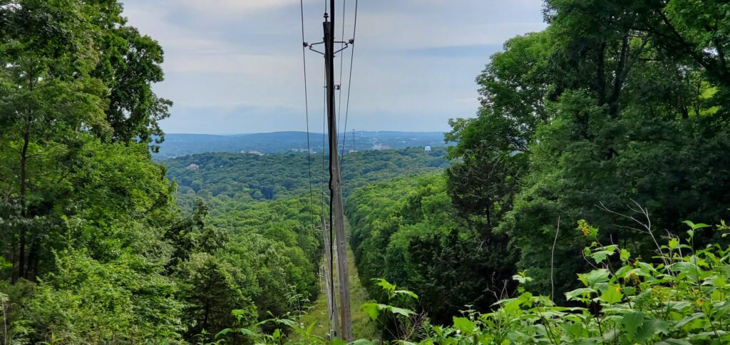 Great Spring Hikes around Huntsville | We Are Huntsville