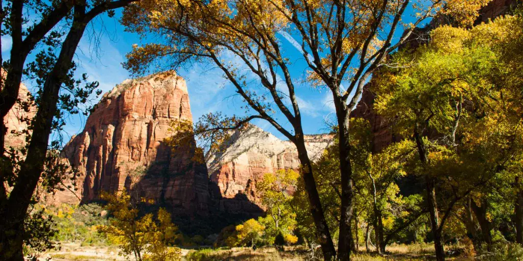 Best Time to Visit Zion National Park (All Season Guide)