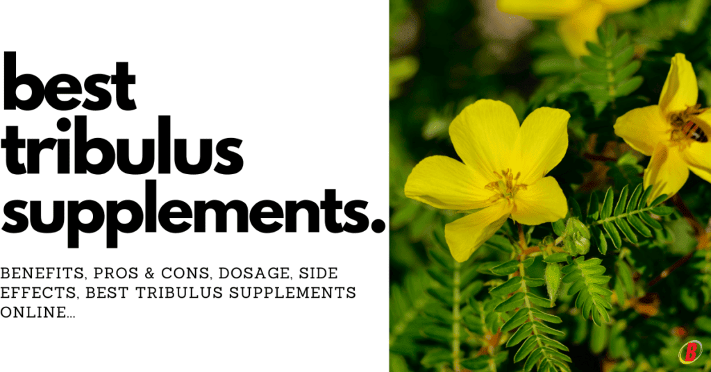 11 Best Tribulus Supplements: Reviews from Experts