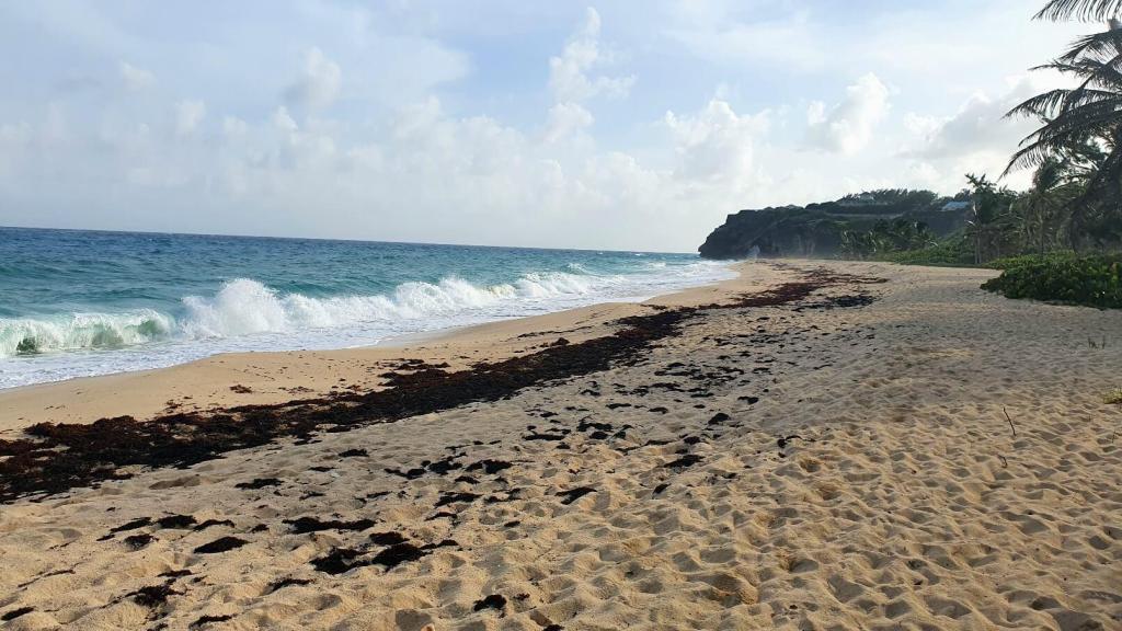 Bottom Bay / Barbados - Sehenswürdigkeit und Fotomotiv - Tipps