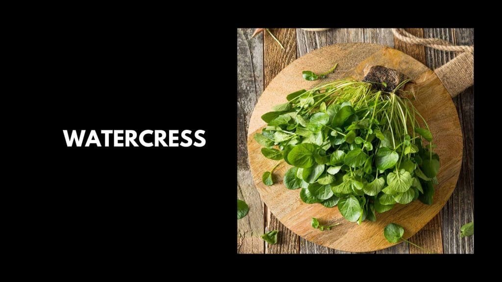 Vegetables Nutrition Facts, Calories and Health Benefits