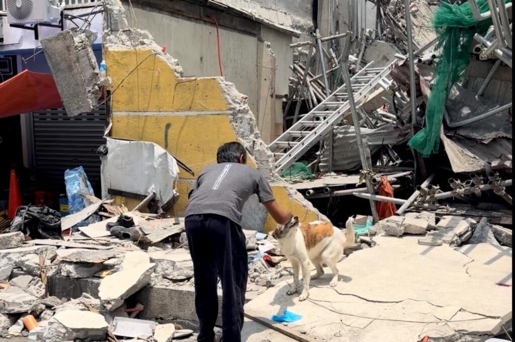 Search and Rescue Operations Continue After Building Collapse in ...