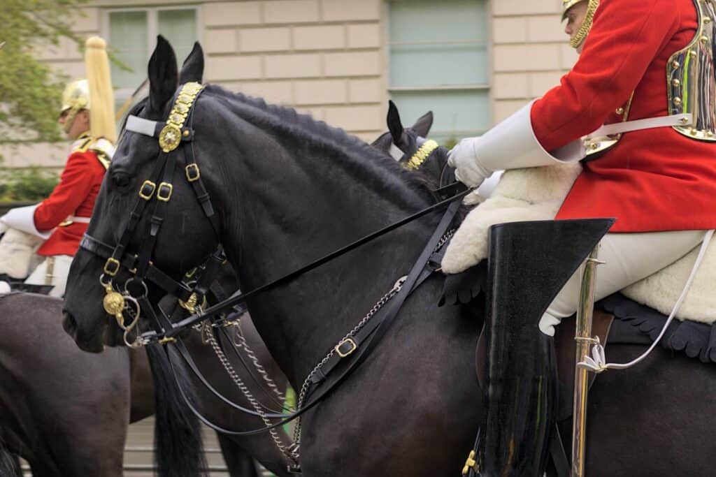 Crowning Glory: Exploring the World of Royal Horse Names - Home In The ...