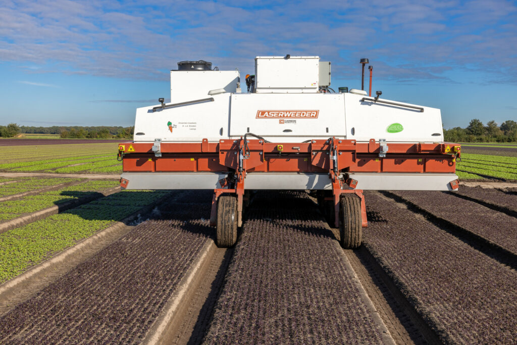 Dutch grower: ‘This is the machine that gives us excellent results ...