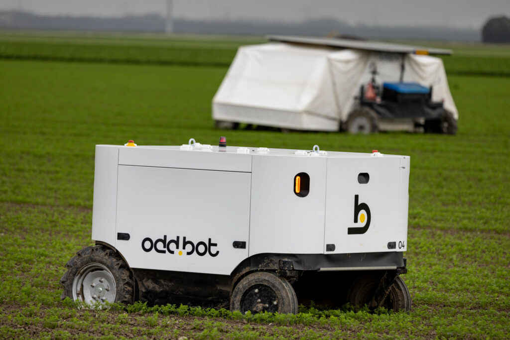 Odd.Bot picks weeds in between carrots, onions, and chicory