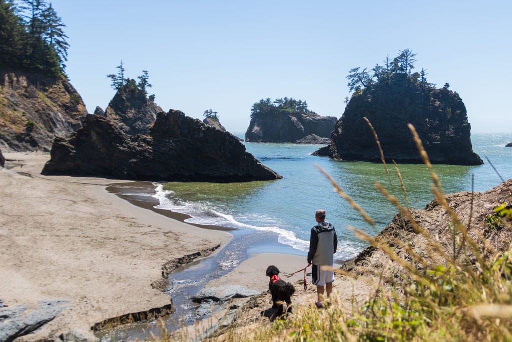 Secret Beach on the Oregon Coast – All You Need to Know | Hello ...