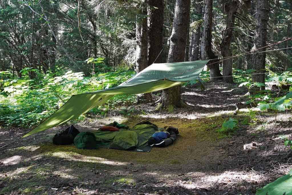 Tarp Camping: Beginner's Guide to Finding the Perfect Pitch, Kit & Set Up