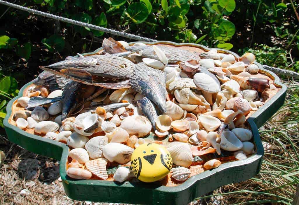 Florida Beaches: 9 Important Things You Need To Know