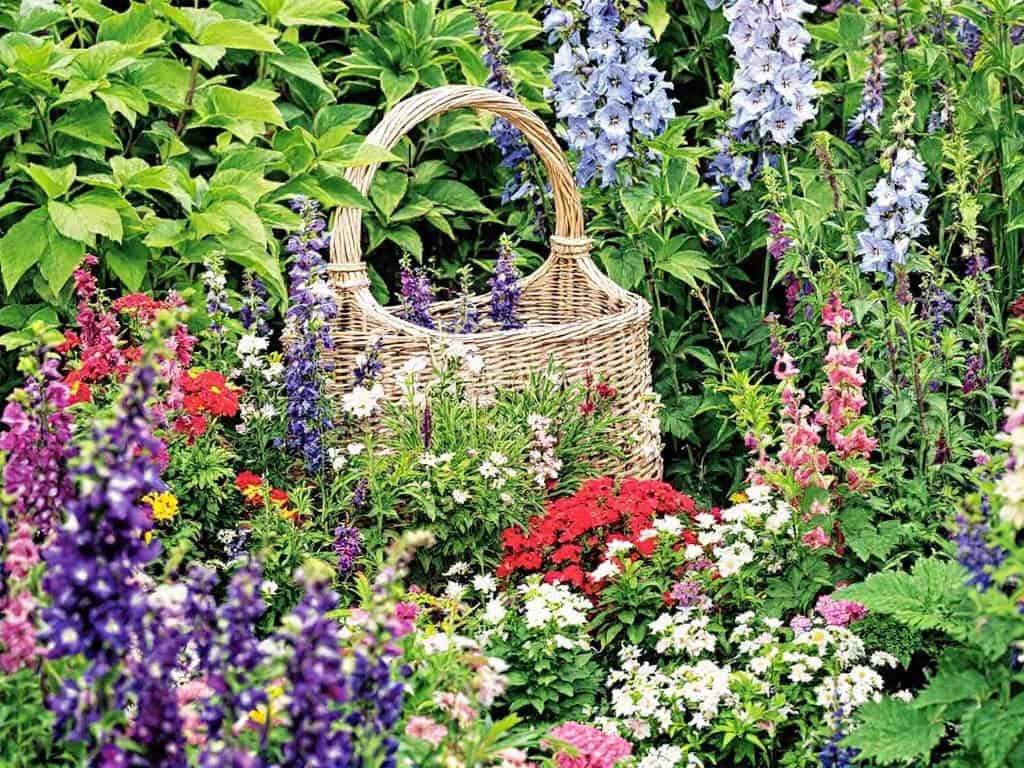 Tips On How To Create The Perfect French Cottage Garden - Home In The ...