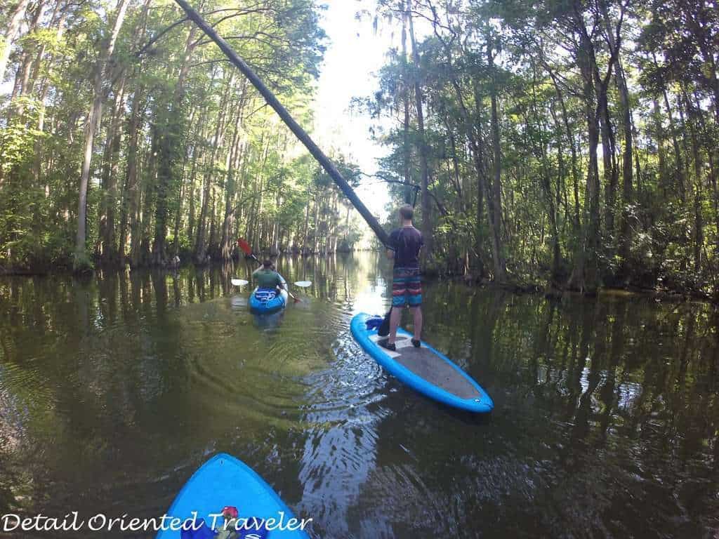 Stand Up Paddleboarding Adventure In Authentic Central Florida
