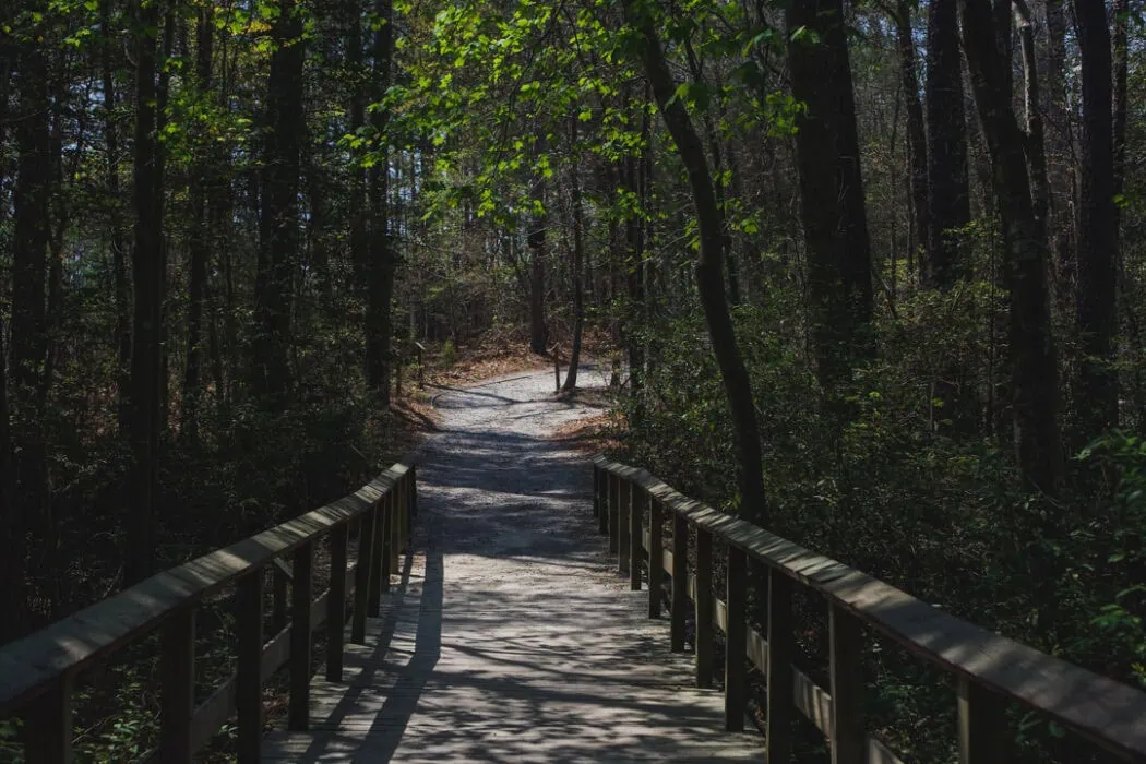 A Detailed Guide For Lake Rim Pool And Park In Fayetteville, NC