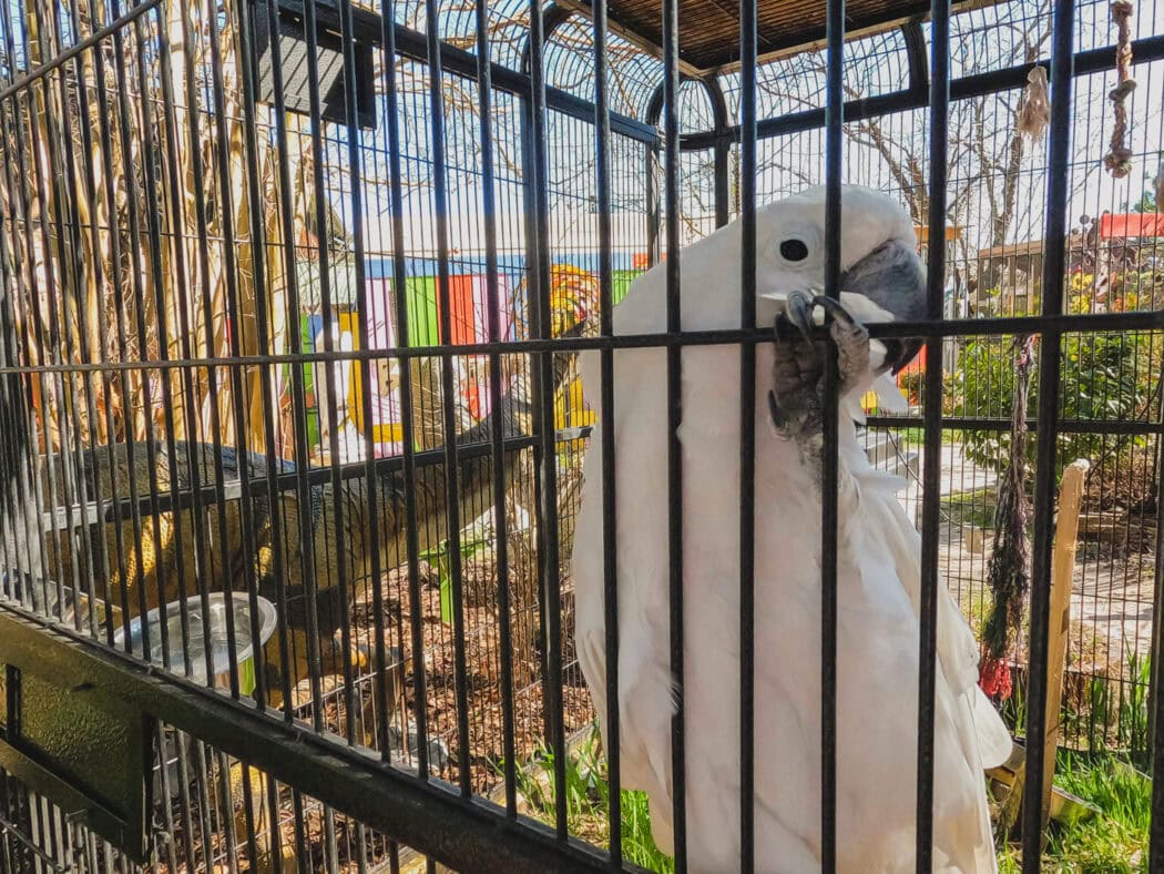 Why You Need To Check Out Dunrovin Country Store In Vass, NC