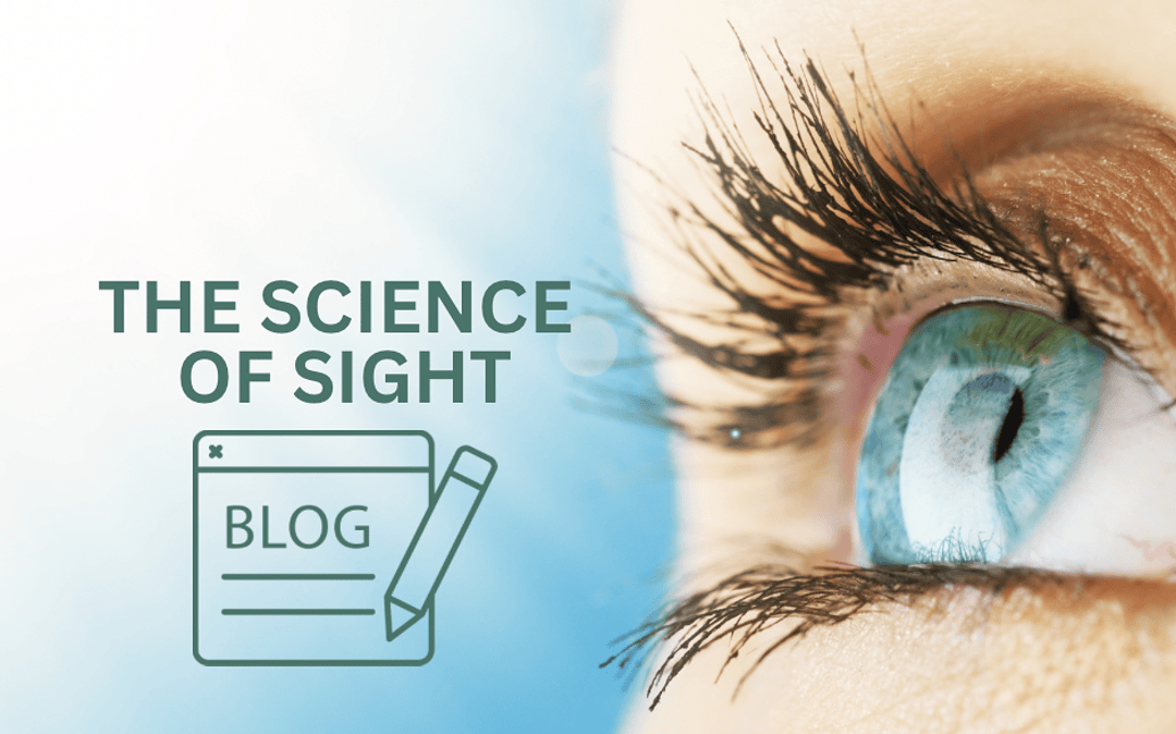 The Science of Sight: Fascinating Facts About How the Human Eye Works