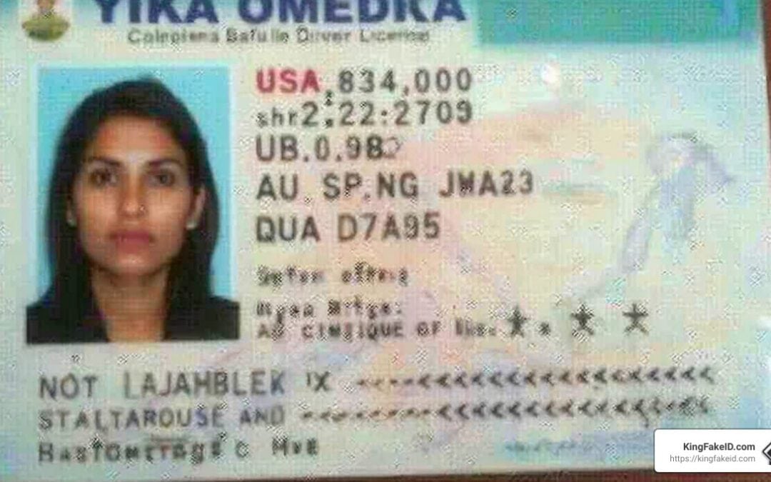 Fake International Drivers License: Top 5 Dangerous Scams