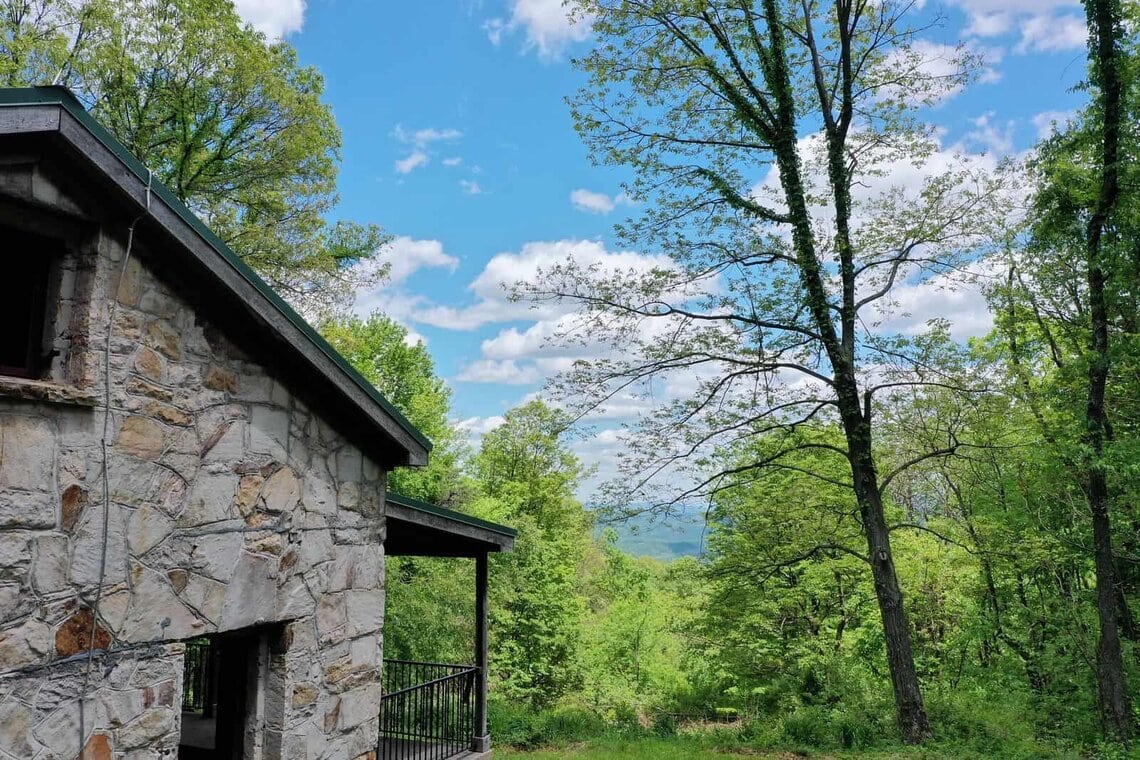 Spring Wildflower Walk at Snavely Ford Trail – Potomac Valley Audubon ...