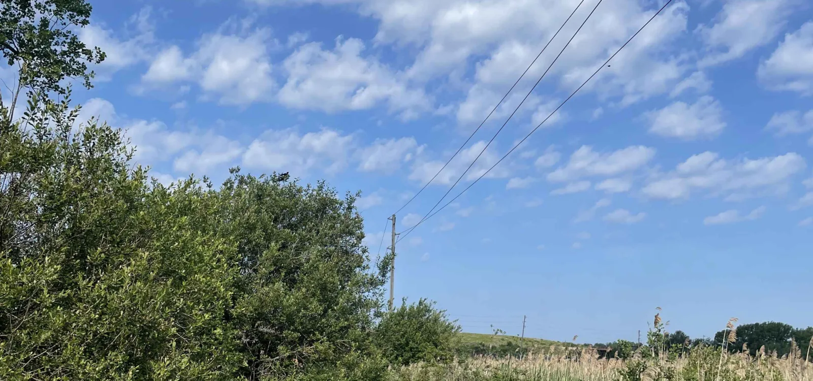 Navigating New York's Wetland Delineation and JD Process