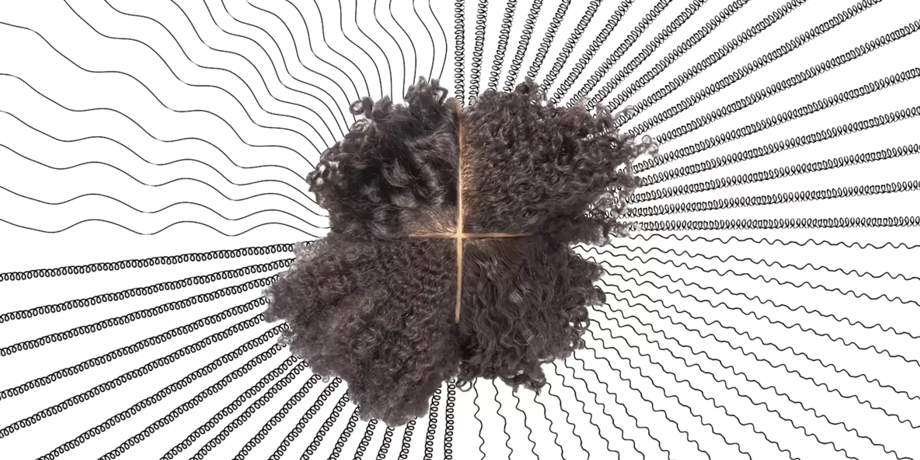 The Multi-Textured Quad: A Revolution in Textured Hair Mastery - Pivot ...