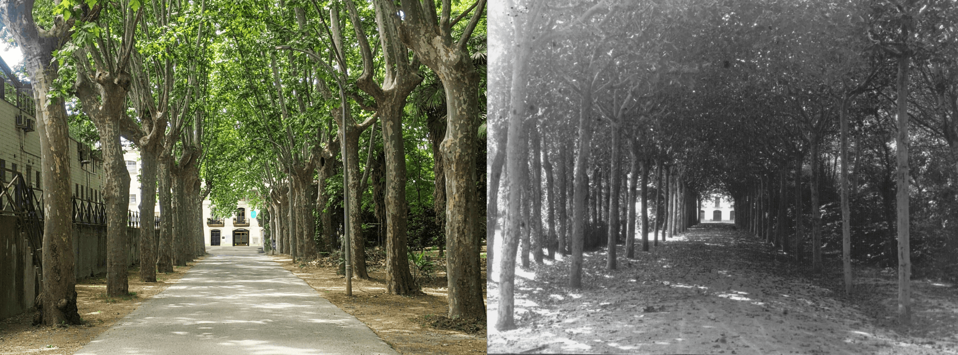 Molí Nou, La Gelidenca Paper Mill | AMARU ANTIQUES