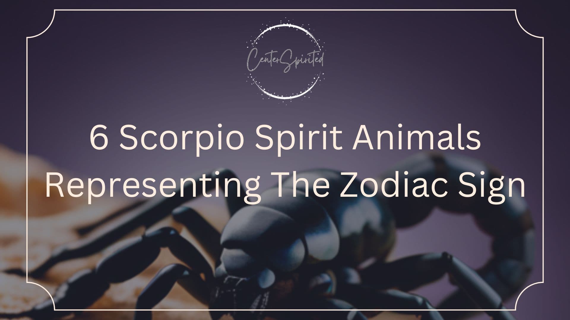 7 Taurus Spirit Animals Representing The Zodiac Sign