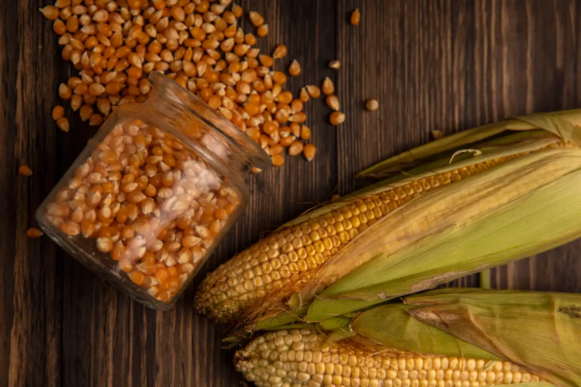 Corn vs. Sugarcane: Why Corn Works for Bourbon but Falls Short in Vodka