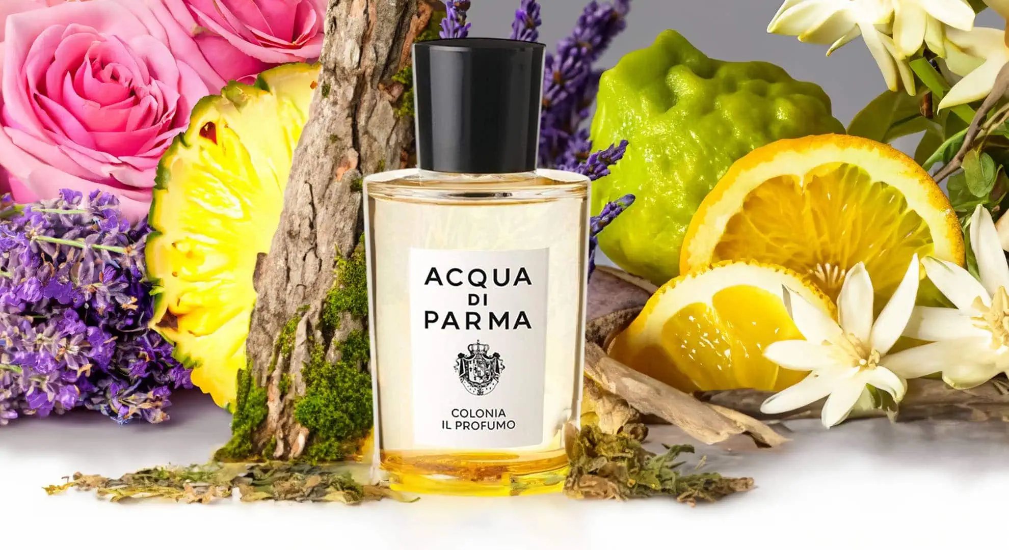 Acqua di Parma Colonia Il Profumo 2024 Citrus Aromatic Unisex Fragrance