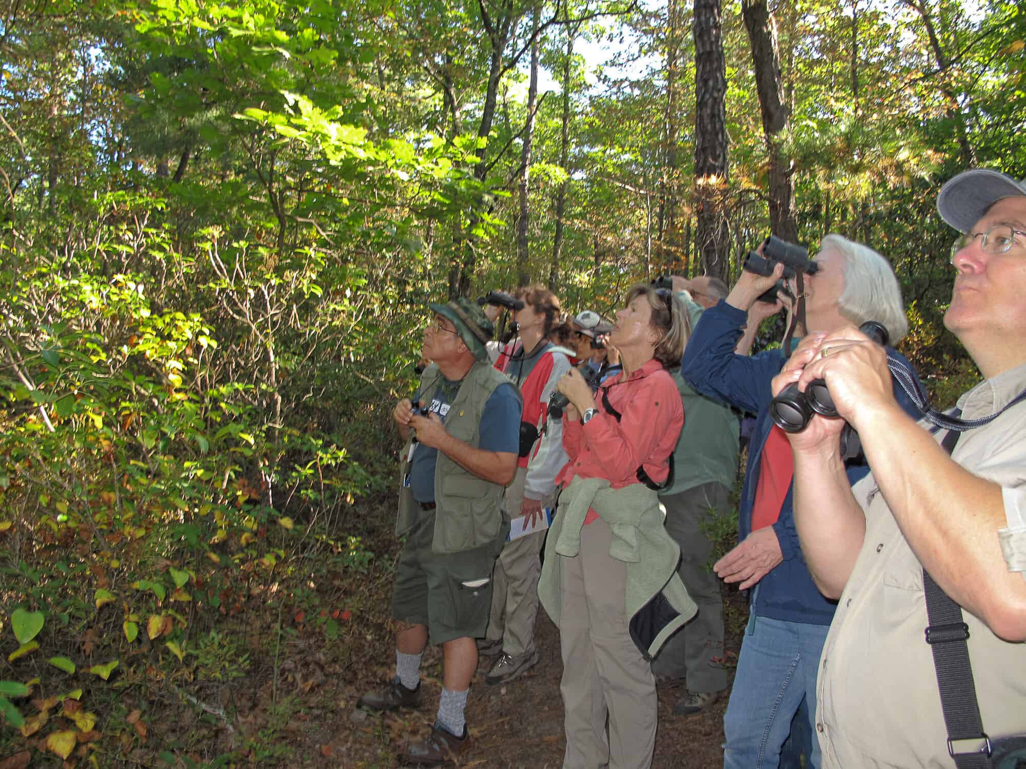 Birding 101! – Potomac Valley Audubon Society