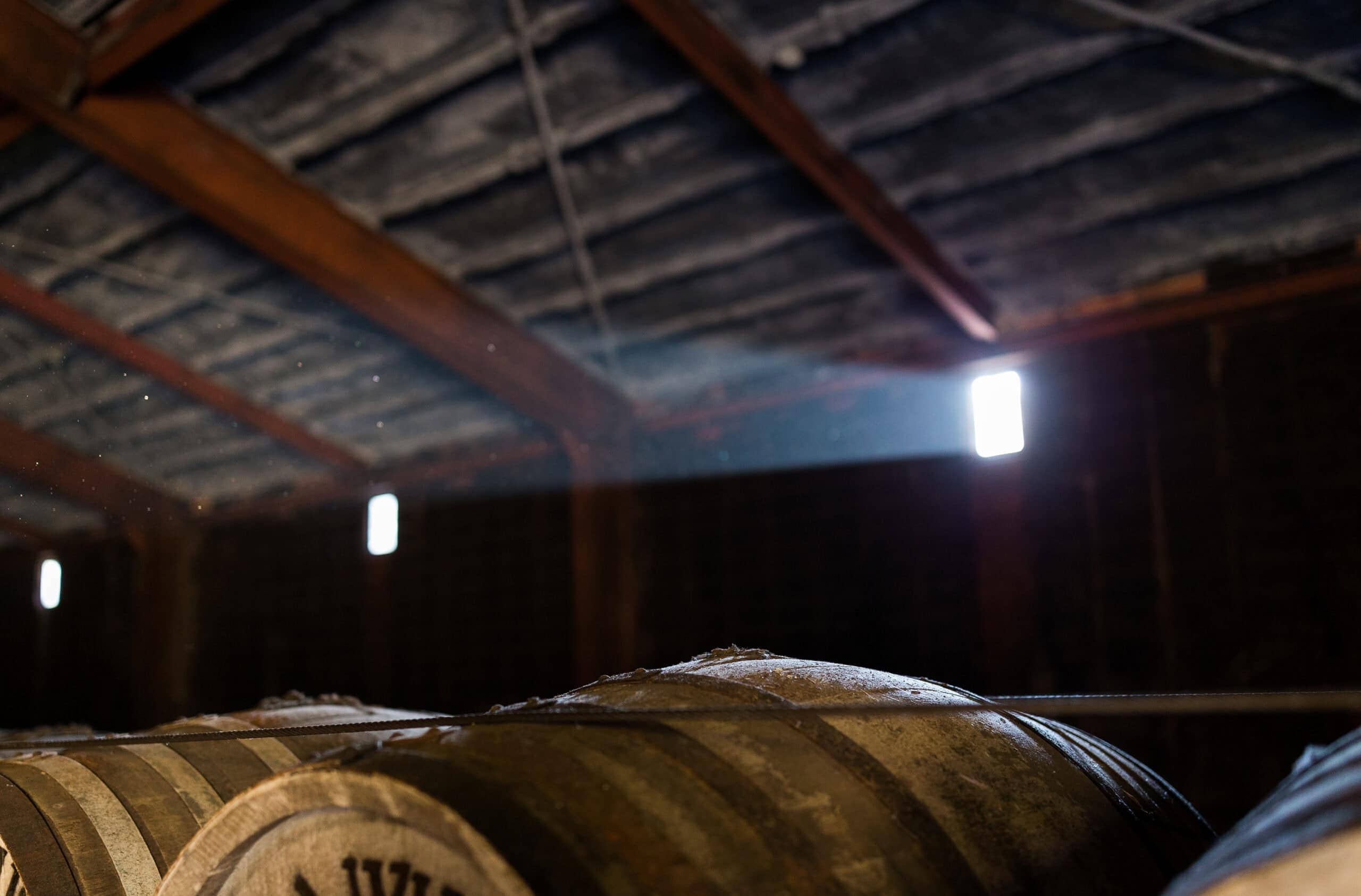 How different types of barrels and wood impact beer