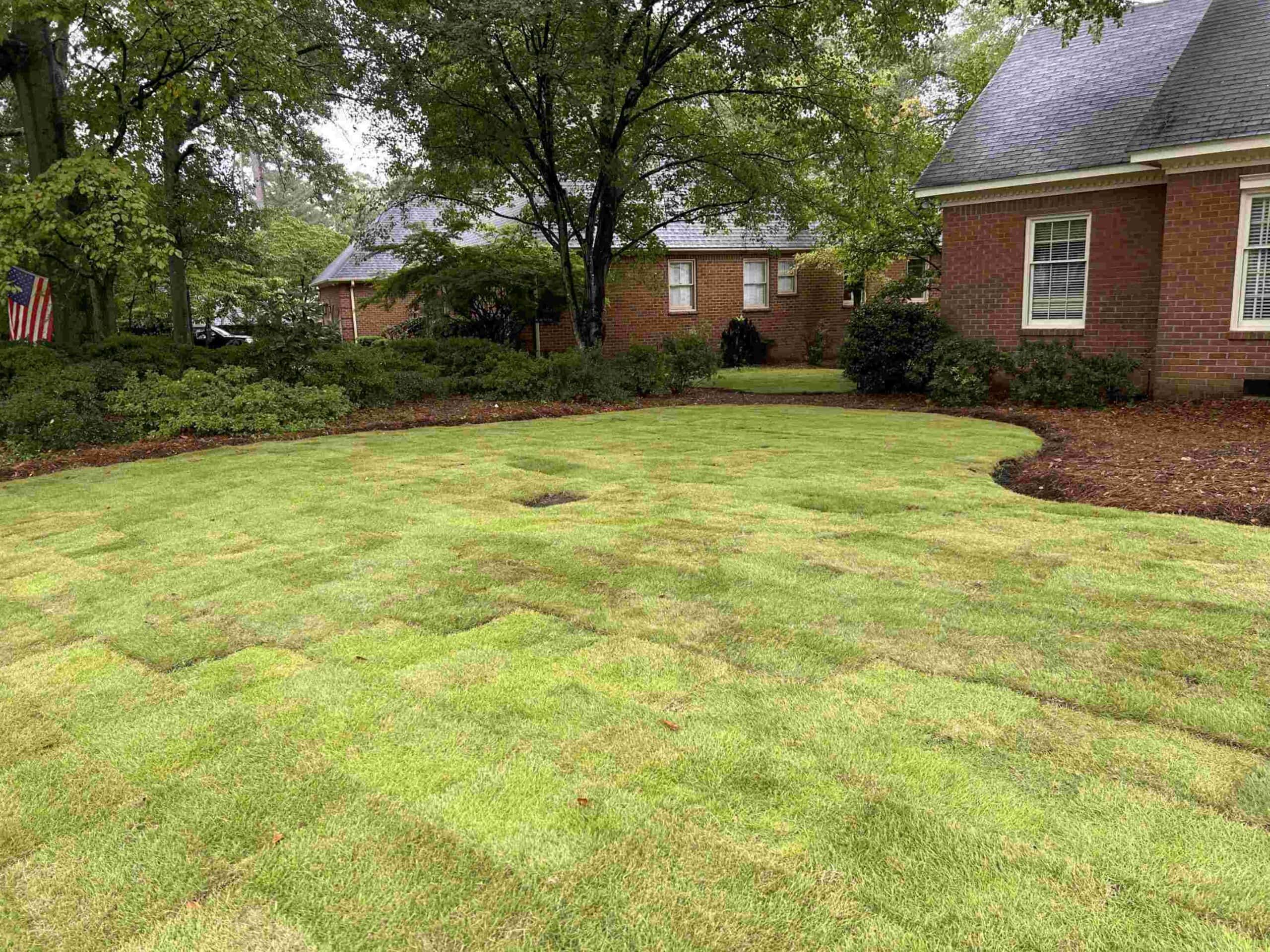 Sod Installation - Southern Charm Landscape and Design