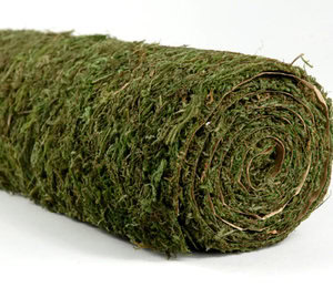 Green Moss-Covered Containers - Easter Flower Idea - Tulip Tricks ...