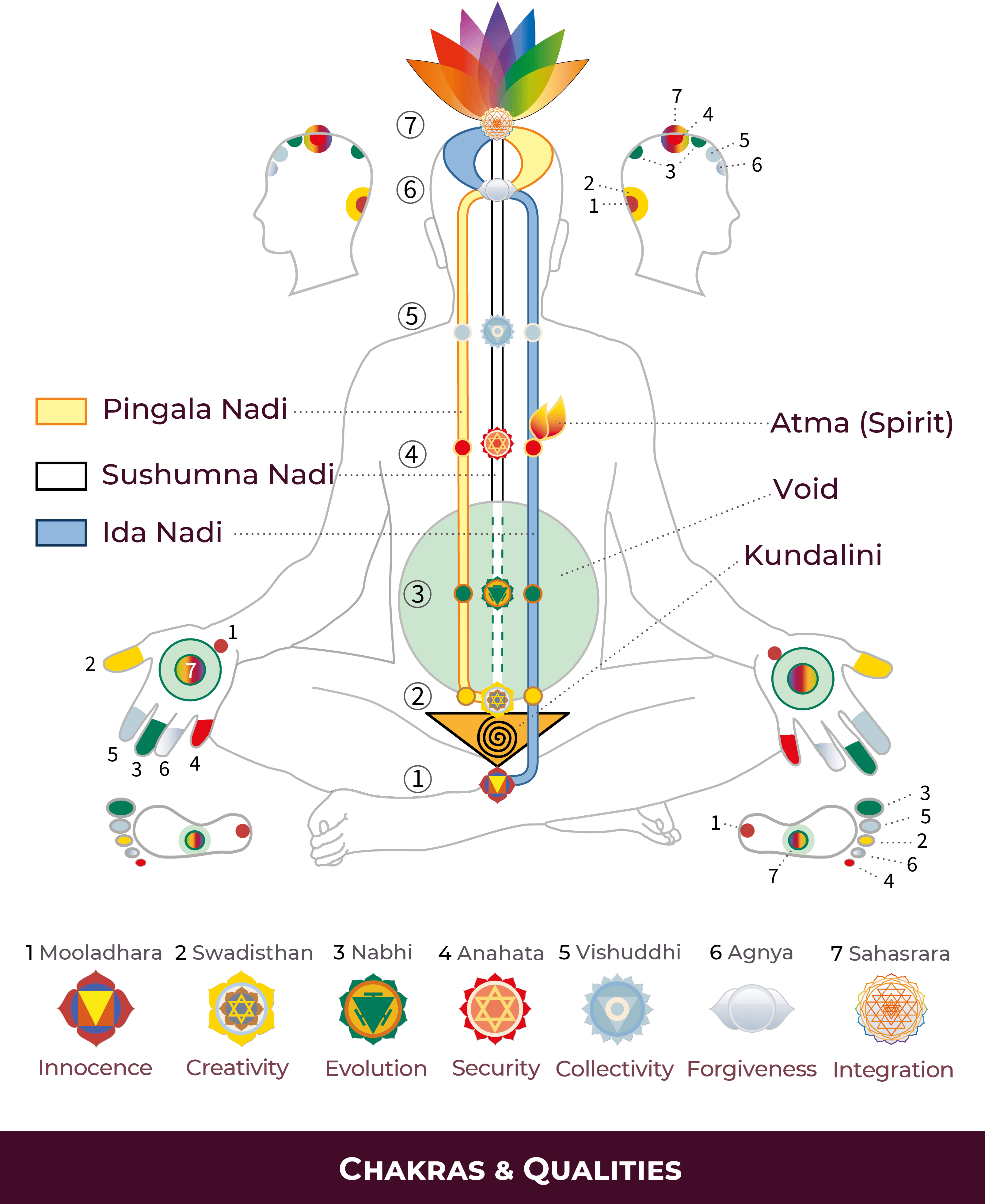 Chakras & Qualities - Shri Mataji Nirmala Devi