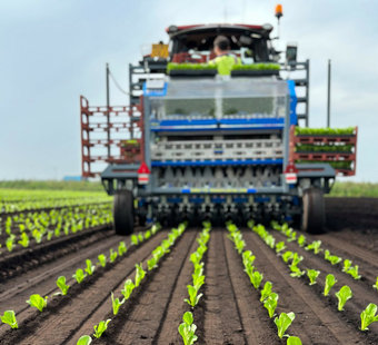 High-speed robotic transplanters for precision seedling planting ...