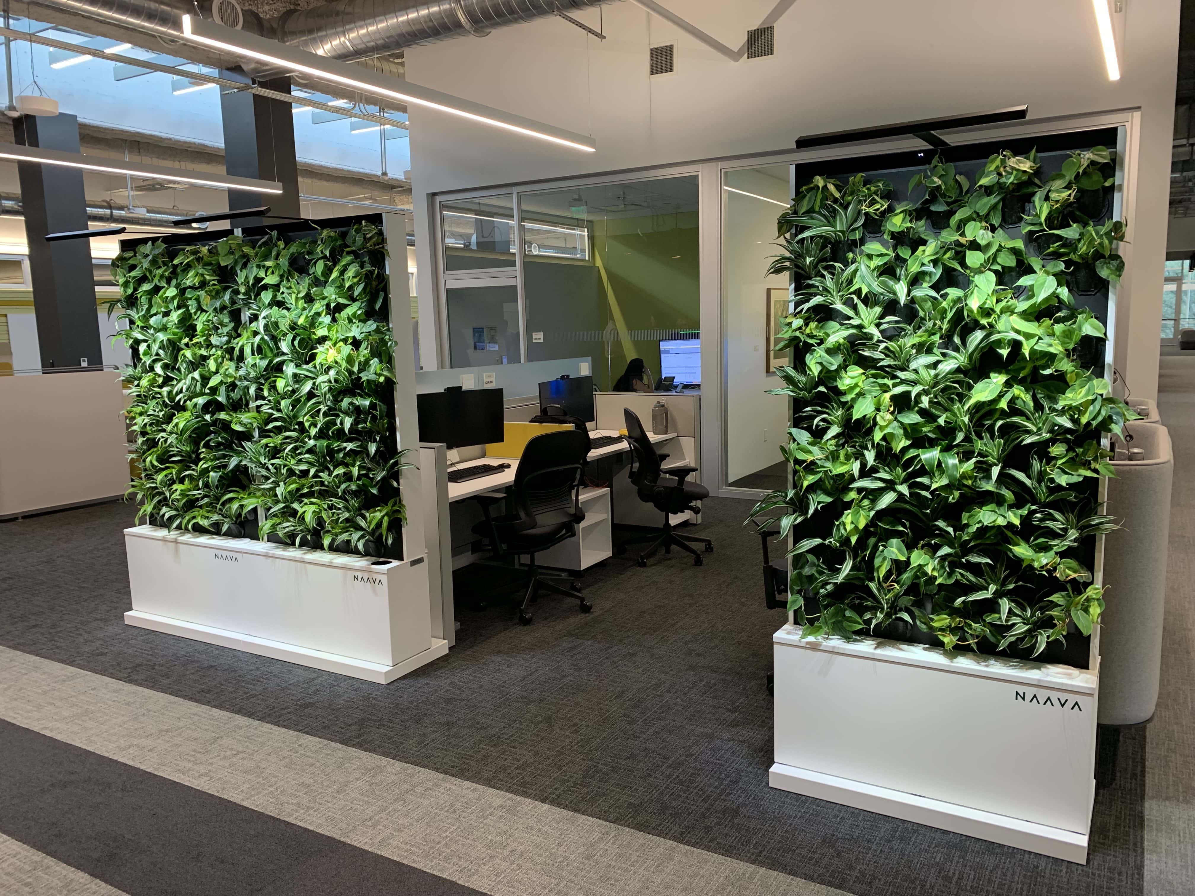 Green Wall Services - Living, Moss, and Artificial | Foliage Design Systems
