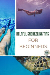 important things to remember while snorkeling