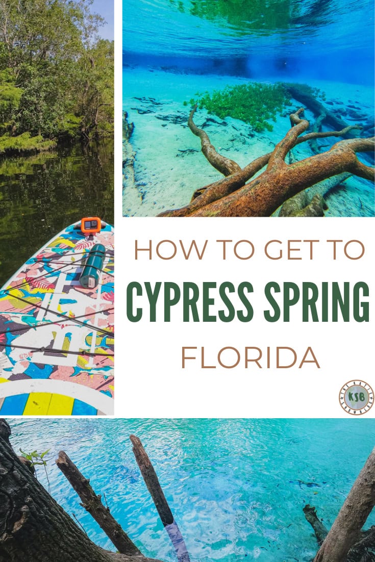 A Complete Guide On How To Get To Cypress Spring Without A Tour