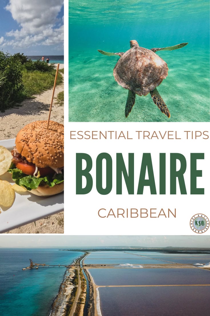 How To Plan A Vacation To Bonaire - Here's Everything You Need To Know