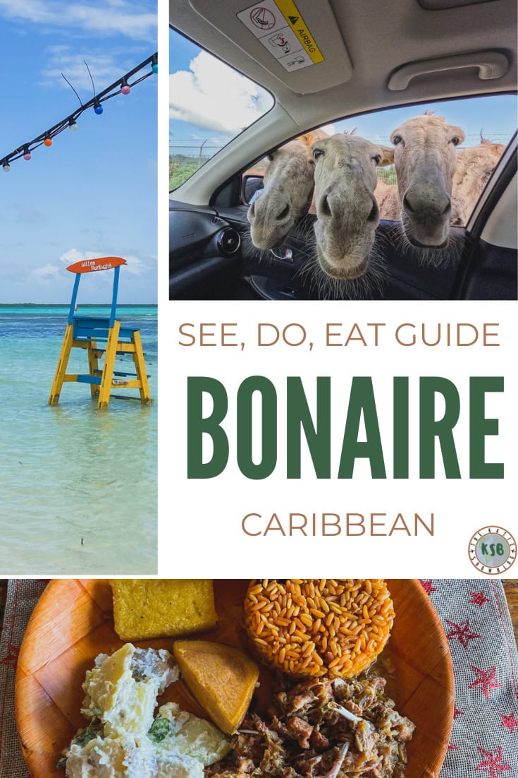See, Do, Eat - Unmissable Things To Do In Bonaire For Non Divers