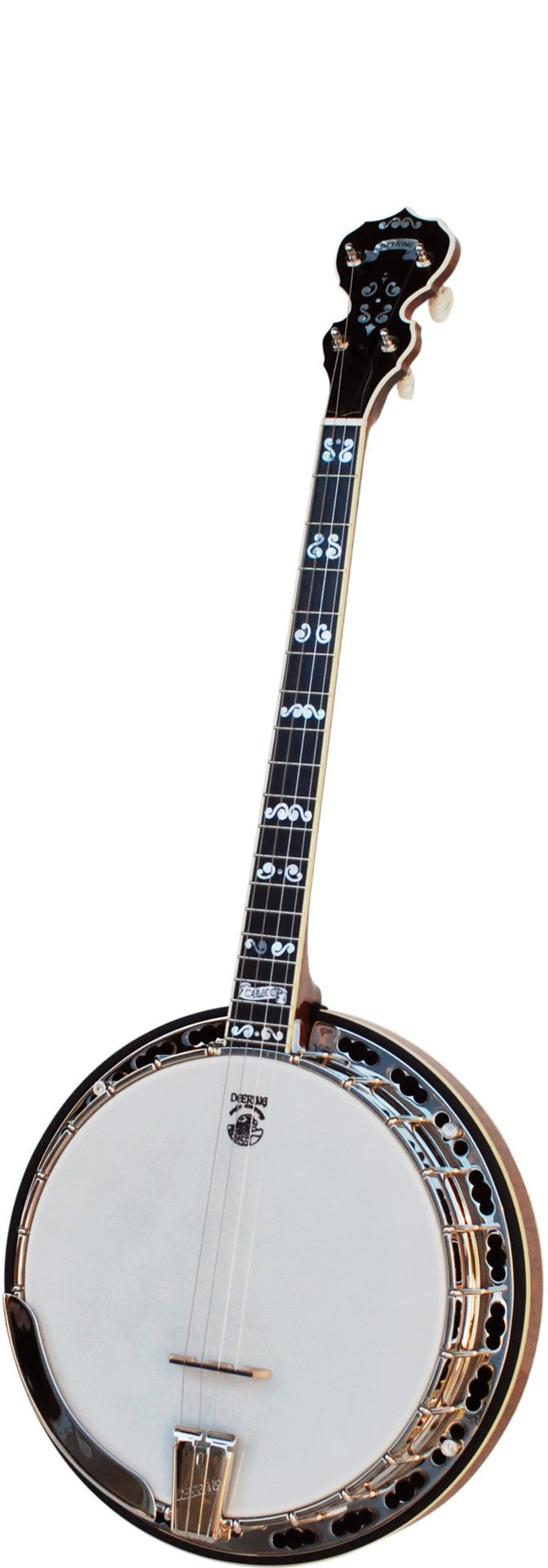 Deering Calico 19-Fret Tenor Banjo | Banjo.com