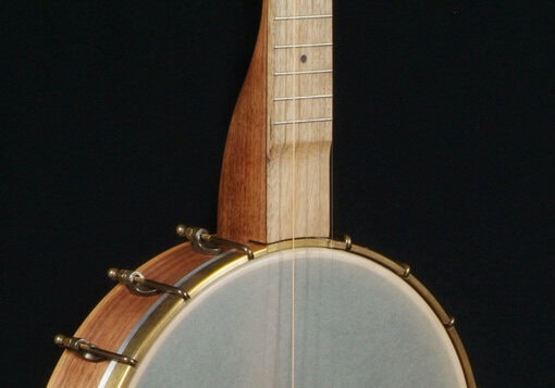Pisgah Possum - Banjo.com