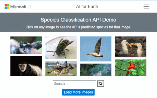11 Best Computer Vision Examples and Solutions in 2023