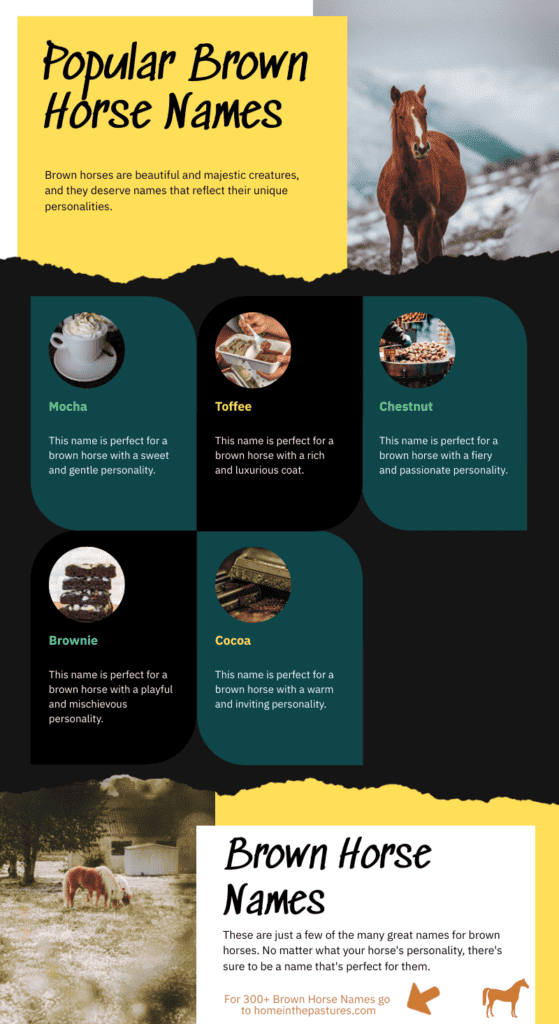 Gallop Through the Best Brown Horse Names! - Home In The Pastures