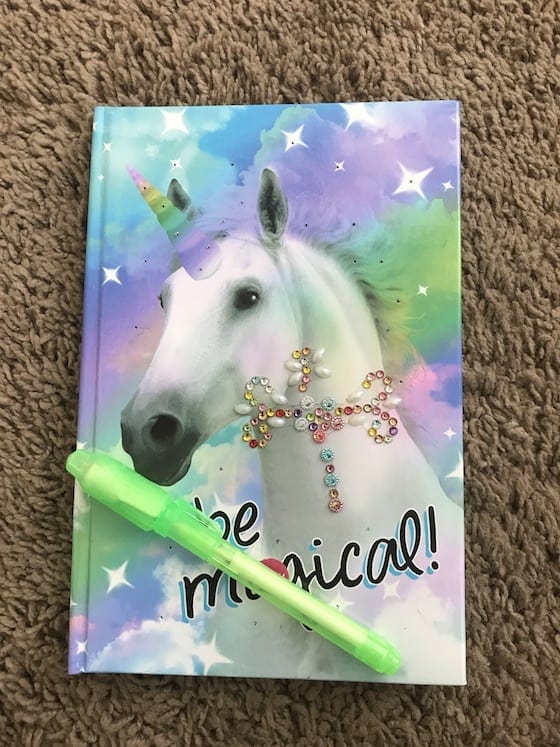 Fun Journals For Kids - Christmas Gift Idea - Saving You Dinero