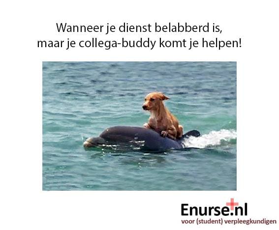 De 10 grappigste memes in de zorg - Herkenbaar! - Enurse.nl