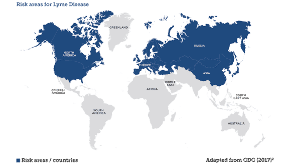 Lyme Disease | 15 Facts About Causes, Symptoms, Treatment, and Prevention
