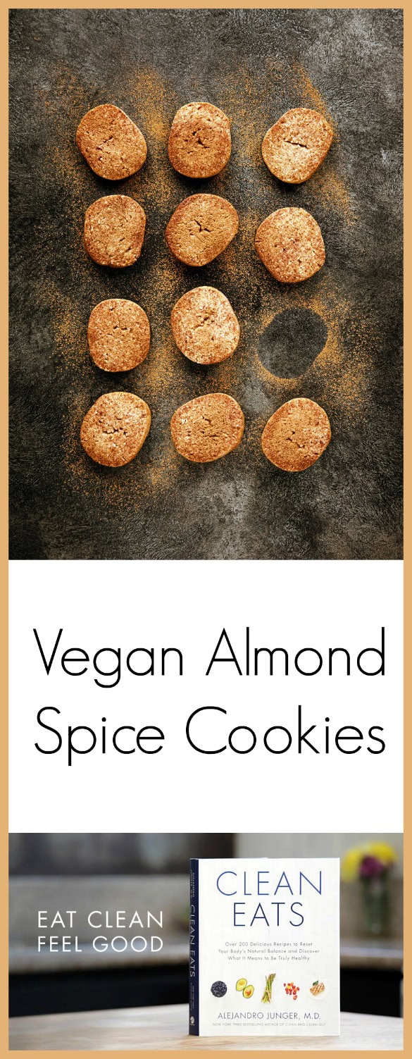 vegan-cookies-text